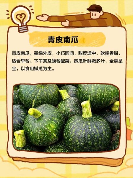 小青南瓜怎么做好吃_小青南瓜的做法大全-第3张图片-山城妙识 小青南瓜怎么做好吃_小青南瓜的做法大全-第3张图片-山城妙识