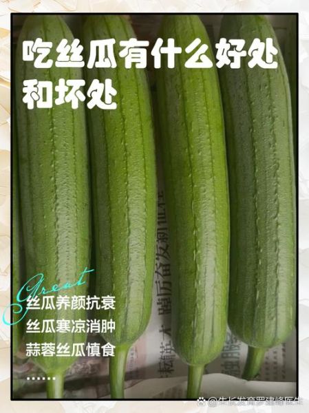 丝瓜的功效与作用禁忌_丝瓜怎么吃最好-第1张图片-山城妙识 丝瓜的功效与作用禁忌_丝瓜怎么吃最好-第1张图片-山城妙识