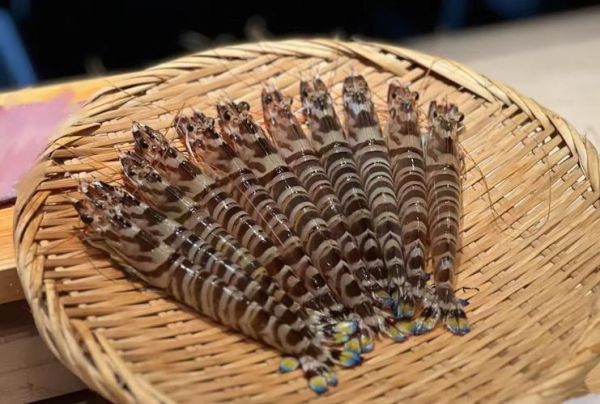 斑节对虾是河虾还是海虾_斑节对虾生长环境揭秘-第1张图片-山城妙识 斑节对虾是河虾还是海虾_斑节对虾生长环境揭秘-第1张图片-山城妙识