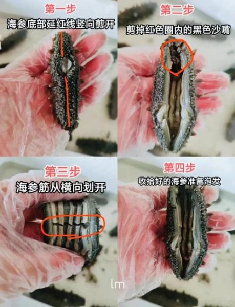 半干海参怎么泡发_半干海参清洗方法-第1张图片-山城妙识 半干海参怎么泡发_半干海参清洗方法-第1张图片-山城妙识