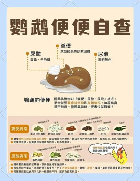 拉肚子拉水止泻小妙招_腹泻拉水怎么办-第3张图片-山城妙识 拉肚子拉水止泻小妙招_腹泻拉水怎么办-第3张图片-山城妙识