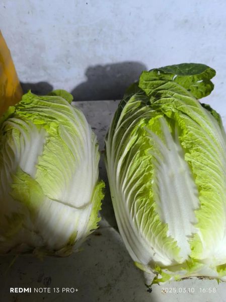 水煮白菜的热量_减肥可以吃吗-第2张图片-山城妙识