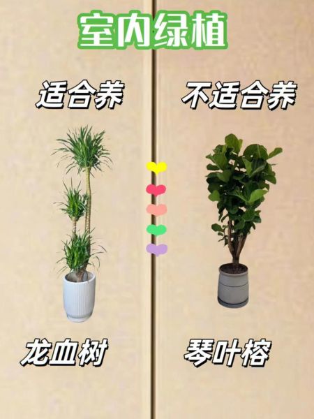 小面积室内养殖项目有哪些_适合新手吗-第2张图片-山城妙识