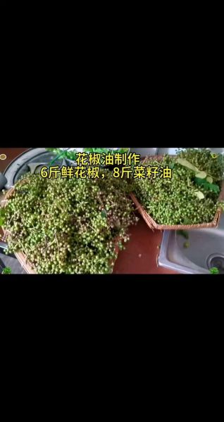 干花椒怎么熬花椒油_花椒油熬多久才香-第1张图片-山城妙识 干花椒怎么熬花椒油_花椒油熬多久才香-第1张图片-山城妙识