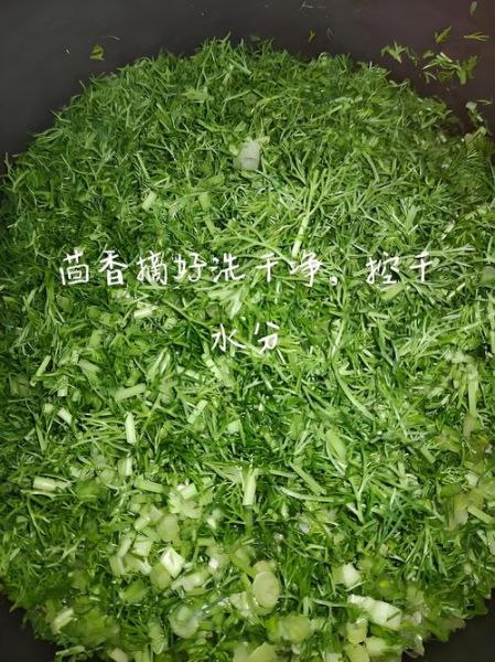 茴香炒菜怎么做好吃_茴香炒什么最香-第1张图片-山城妙识 茴香炒菜怎么做好吃_茴香炒什么最香-第1张图片-山城妙识