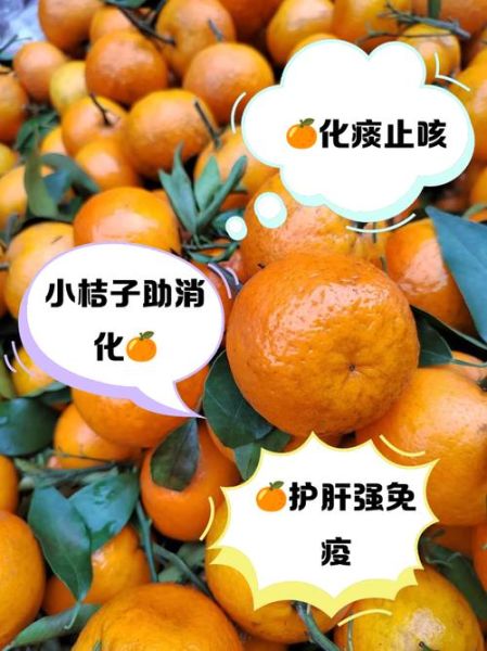 柑子的功效与作用_柑子能减肥吗-第3张图片-山城妙识 柑子的功效与作用_柑子能减肥吗-第3张图片-山城妙识