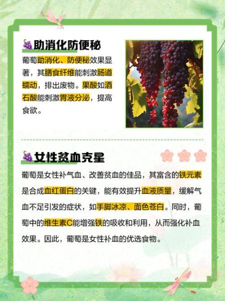 女性吃葡萄有什么好处和坏处_每天几颗才健康-第2张图片-山城妙识 女性吃葡萄有什么好处和坏处_每天几颗才健康-第2张图片-山城妙识