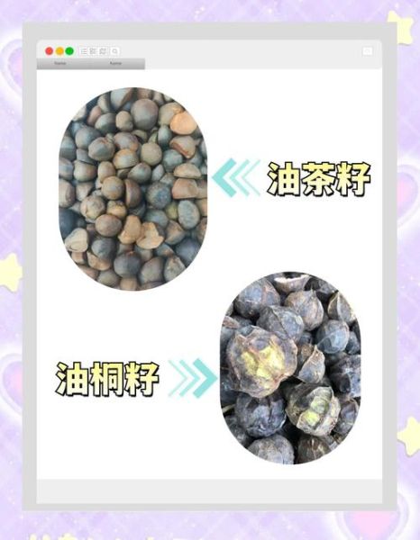 茶油炒饭加盟骗局有哪些套路_如何识别真假品牌-第1张图片-山城妙识 茶油炒饭加盟骗局有哪些套路_如何识别真假品牌-第1张图片-山城妙识