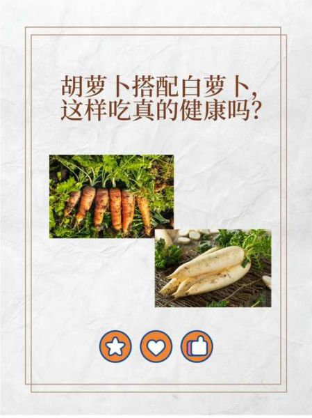 白萝卜和胡萝卜能一起吃吗_白萝卜和胡萝卜相克是真的吗-第1张图片-山城妙识 白萝卜和胡萝卜能一起吃吗_白萝卜和胡萝卜相克是真的吗-第1张图片-山城妙识