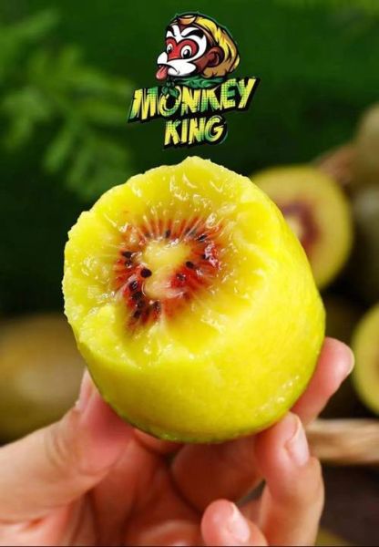 红心猕猴桃产地在哪里_哪里的最甜-第3张图片-山城妙识 红心猕猴桃产地在哪里_哪里的最甜-第3张图片-山城妙识