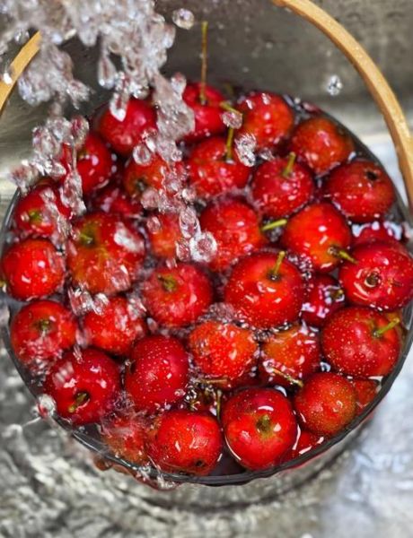 山楂酱怎么做_山楂酱的做法步骤-第2张图片-山城妙识 山楂酱怎么做_山楂酱的做法步骤-第2张图片-山城妙识