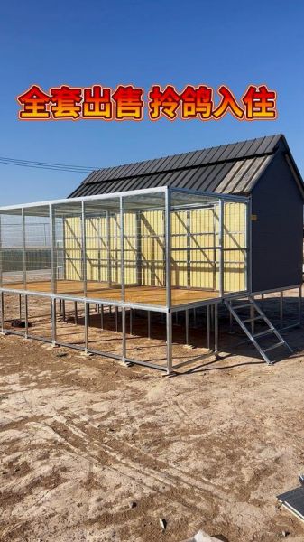 养鸽大棚怎么建_鸽子养殖大棚设计-第3张图片-山城妙识 养鸽大棚怎么建_鸽子养殖大棚设计-第3张图片-山城妙识