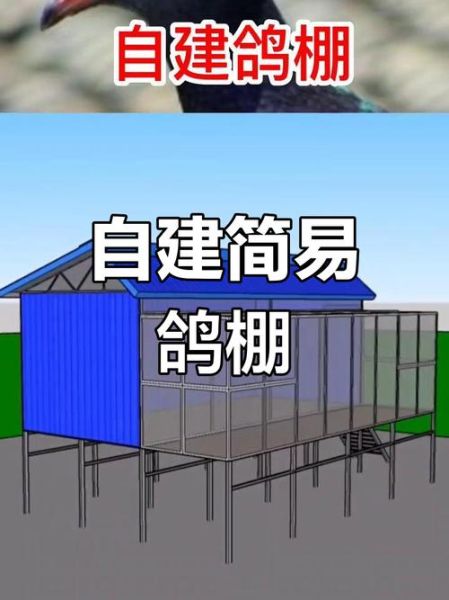 养鸽大棚怎么建_鸽子养殖大棚设计-第1张图片-山城妙识 养鸽大棚怎么建_鸽子养殖大棚设计-第1张图片-山城妙识