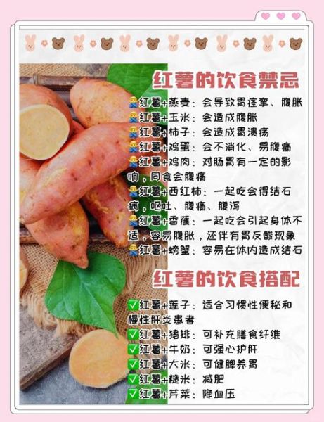 坚持每天吃红薯的好处_长期吃红薯会胖吗-第2张图片-山城妙识