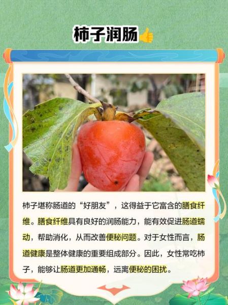 女人吃柿子有什么好处_女性吃柿子的功效与禁忌-第1张图片-山城妙识 女人吃柿子有什么好处_女性吃柿子的功效与禁忌-第1张图片-山城妙识