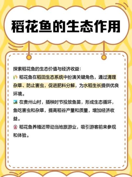 稻花鱼养殖方法_稻花鱼养殖技术要点-第1张图片-山城妙识 稻花鱼养殖方法_稻花鱼养殖技术要点-第1张图片-山城妙识