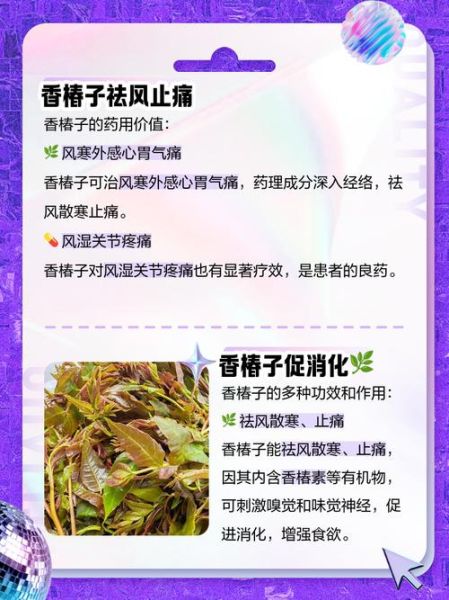 香椿子有什么功效_香椿子副作用有哪些-第2张图片-山城妙识 香椿子有什么功效_香椿子副作用有哪些-第2张图片-山城妙识