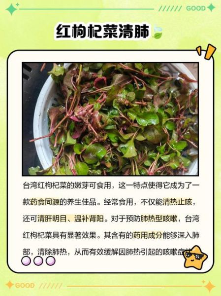 枸杞菜怎么做好吃_枸杞菜的功效与作用-第3张图片-山城妙识 枸杞菜怎么做好吃_枸杞菜的功效与作用-第3张图片-山城妙识