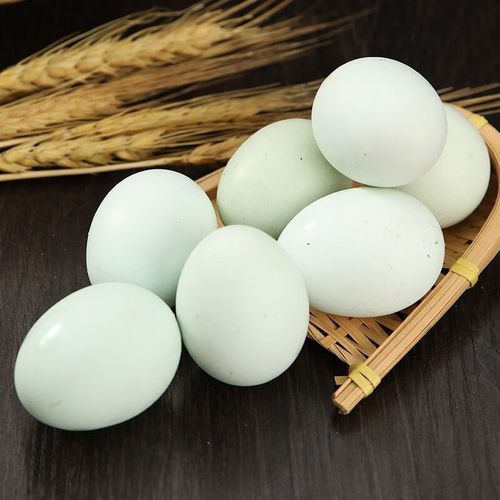 绿壳乌鸡蛋多少钱一斤_绿壳乌鸡蛋价格行情-第1张图片-山城妙识 绿壳乌鸡蛋多少钱一斤_绿壳乌鸡蛋价格行情-第1张图片-山城妙识
