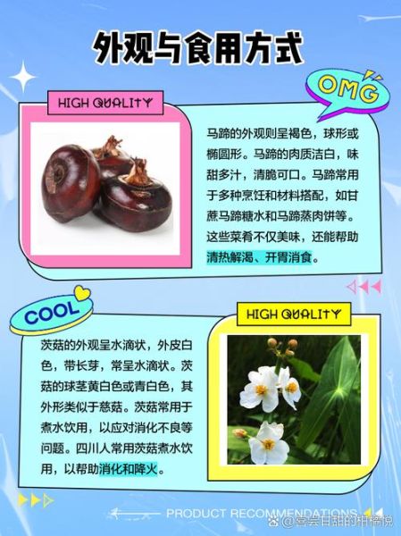 茨菰拼音怎么读_茨菰和荸荠区别在哪-第1张图片-山城妙识 茨菰拼音怎么读_茨菰和荸荠区别在哪-第1张图片-山城妙识