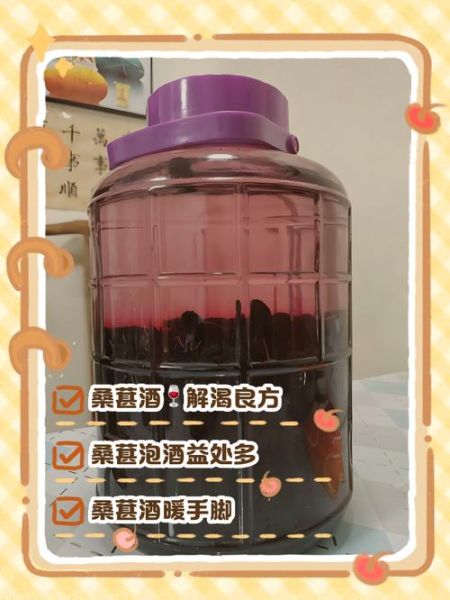 桑葚泡酒用什么酒好_桑葚泡酒的功效与作用-第1张图片-山城妙识 桑葚泡酒用什么酒好_桑葚泡酒的功效与作用-第1张图片-山城妙识