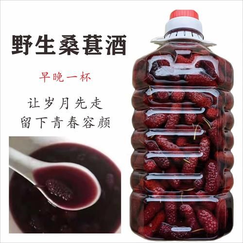 桑葚泡酒用什么酒好_桑葚泡酒的功效与作用-第3张图片-山城妙识 桑葚泡酒用什么酒好_桑葚泡酒的功效与作用-第3张图片-山城妙识