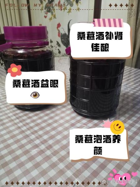 桑葚泡酒用什么酒好_桑葚泡酒的功效与作用-第2张图片-山城妙识 桑葚泡酒用什么酒好_桑葚泡酒的功效与作用-第2张图片-山城妙识