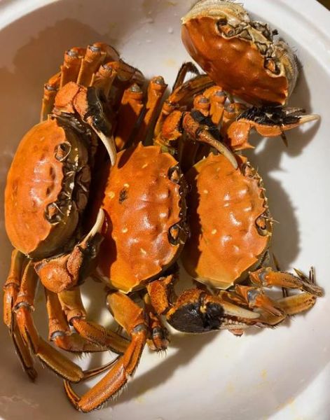 军山湖大闸蟹什么时候上市_最佳品尝期-第2张图片-山城妙识 军山湖大闸蟹什么时候上市_最佳品尝期-第2张图片-山城妙识