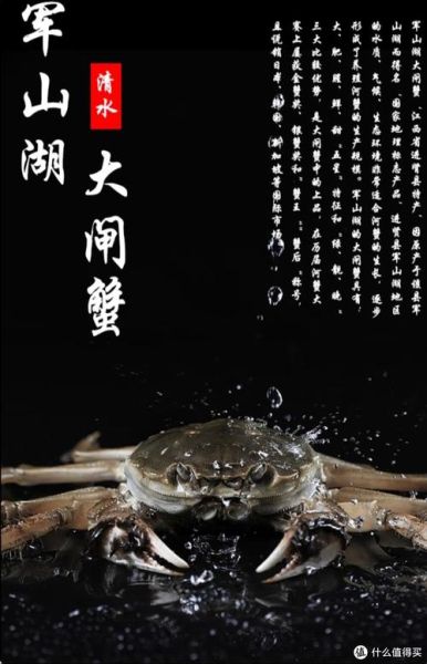 军山湖大闸蟹什么时候上市_最佳品尝期-第1张图片-山城妙识 军山湖大闸蟹什么时候上市_最佳品尝期-第1张图片-山城妙识