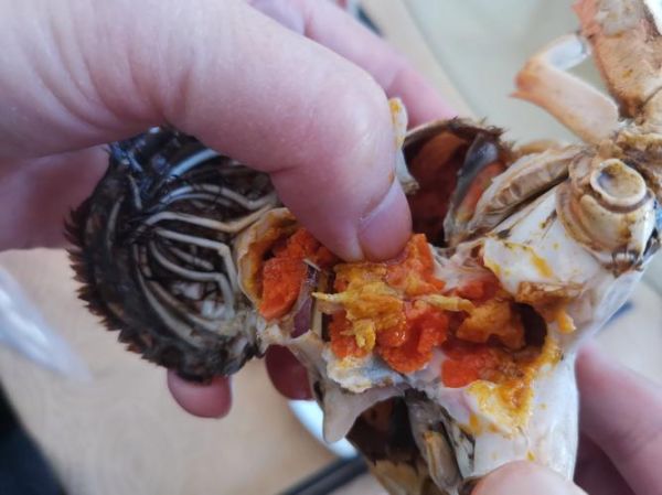 军山湖大闸蟹什么时候上市_最佳品尝期-第3张图片-山城妙识 军山湖大闸蟹什么时候上市_最佳品尝期-第3张图片-山城妙识