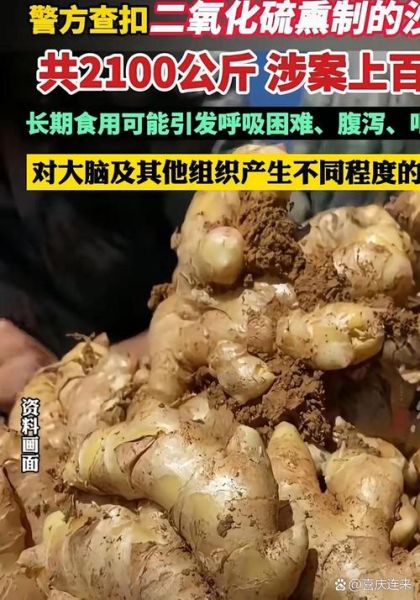 沙姜致癌是真的吗_沙姜吃多了会致癌吗-第3张图片-山城妙识 沙姜致癌是真的吗_沙姜吃多了会致癌吗-第3张图片-山城妙识