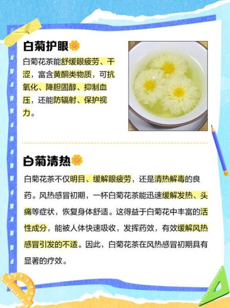 白菊花茶的功效与禁忌_孕妇能喝吗-第1张图片-山城妙识 白菊花茶的功效与禁忌_孕妇能喝吗-第1张图片-山城妙识