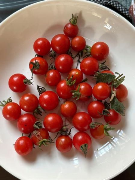 圣女果的功效与作用_圣女果的禁忌人群有哪些-第2张图片-山城妙识 圣女果的功效与作用_圣女果的禁忌人群有哪些-第2张图片-山城妙识