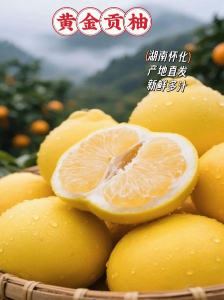 湘西特产水果有哪些_湘西水果什么时候最好吃-第2张图片-山城妙识 湘西特产水果有哪些_湘西水果什么时候最好吃-第2张图片-山城妙识