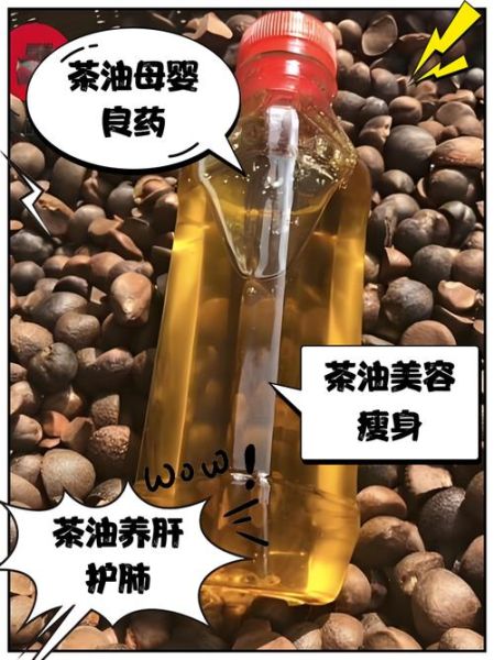茶油外用的功效有哪些_怎么用效果最好-第3张图片-山城妙识 茶油外用的功效有哪些_怎么用效果最好-第3张图片-山城妙识