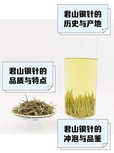 银针茶多少钱一斤_银针茶怎么泡才好喝-第1张图片-山城妙识 银针茶多少钱一斤_银针茶怎么泡才好喝-第1张图片-山城妙识