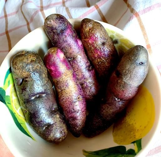 紫土豆怎么吃_紫土豆的做法大全-第1张图片-山城妙识 紫土豆怎么吃_紫土豆的做法大全-第1张图片-山城妙识