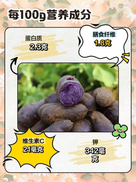 紫土豆怎么吃_紫土豆的做法大全-第2张图片-山城妙识 紫土豆怎么吃_紫土豆的做法大全-第2张图片-山城妙识