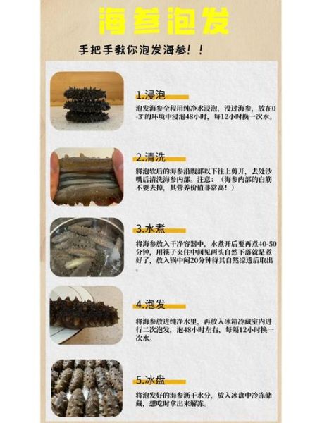 干海参花怎样泡发最好_海参花泡发时间多久-第2张图片-山城妙识 干海参花怎样泡发最好_海参花泡发时间多久-第2张图片-山城妙识