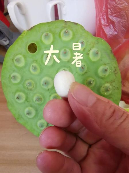 大暑吃什么传统食物_各地消暑必吃清单-第3张图片-山城妙识 大暑吃什么传统食物_各地消暑必吃清单-第3张图片-山城妙识