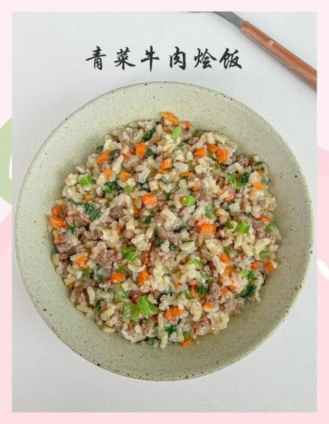 牛肉蔬菜粥怎么做_牛肉蔬菜粥适合宝宝吃吗-第3张图片-山城妙识