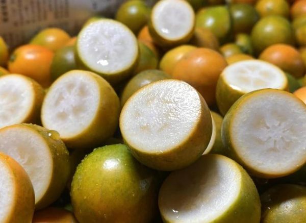 冬天什么水果降火止咳_哪些水果止咳化痰效果好-第1张图片-山城妙识 冬天什么水果降火止咳_哪些水果止咳化痰效果好-第1张图片-山城妙识