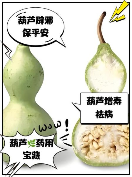 葫芦的功效与作用_葫芦能降血糖吗-第2张图片-山城妙识 葫芦的功效与作用_葫芦能降血糖吗-第2张图片-山城妙识