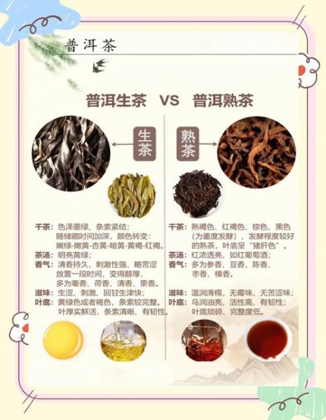 普洱茶生茶的功效与作用_生茶适合什么人喝-第3张图片-山城妙识