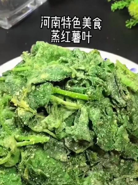 蒸地瓜叶的做法窍门_蒸地瓜叶怎么蒸才翠绿不苦-第1张图片-山城妙识 蒸地瓜叶的做法窍门_蒸地瓜叶怎么蒸才翠绿不苦-第1张图片-山城妙识