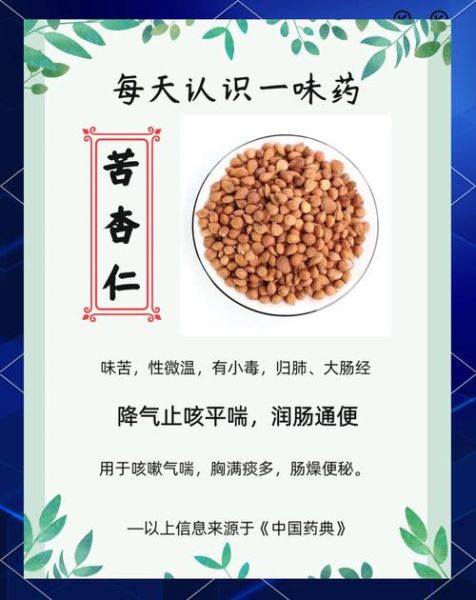 苦杏仁怎么吃没毒_正确去毒方法-第1张图片-山城妙识