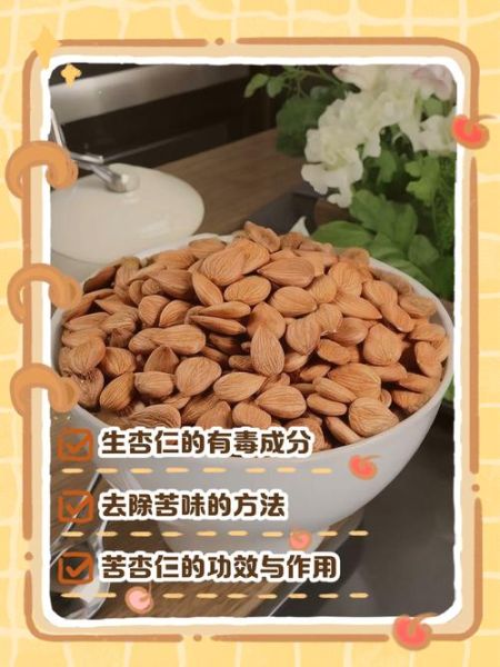 苦杏仁怎么吃没毒_正确去毒方法-第2张图片-山城妙识