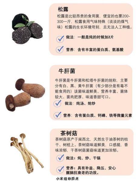 蘑菇的种类图片_如何快速识别常见品种-第3张图片-山城妙识