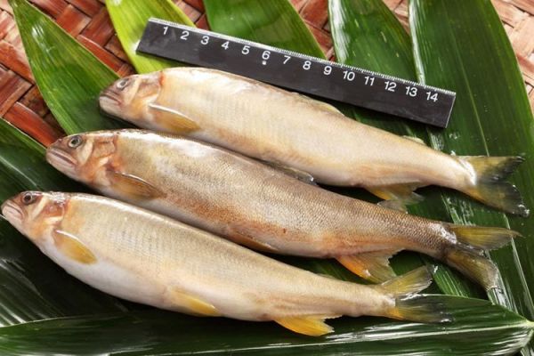 海香鱼是什么鱼_海香鱼怎么做好吃-第1张图片-山城妙识