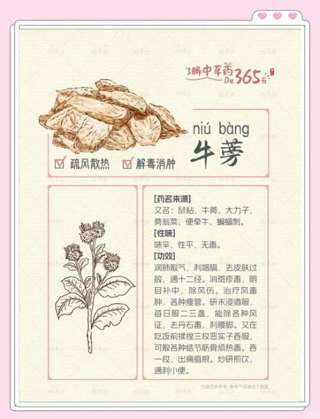 新鲜牛蒡叶怎么吃_牛蒡叶家常做法大全-第1张图片-山城妙识 新鲜牛蒡叶怎么吃_牛蒡叶家常做法大全-第1张图片-山城妙识